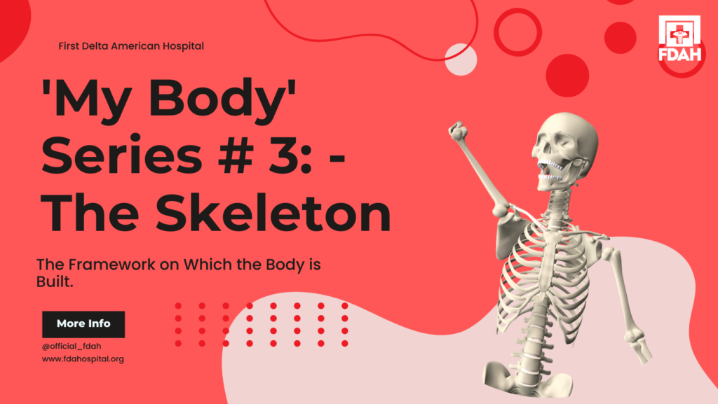 My Body Series #7: The Nervous System – Your Body’s Command and Control ...
