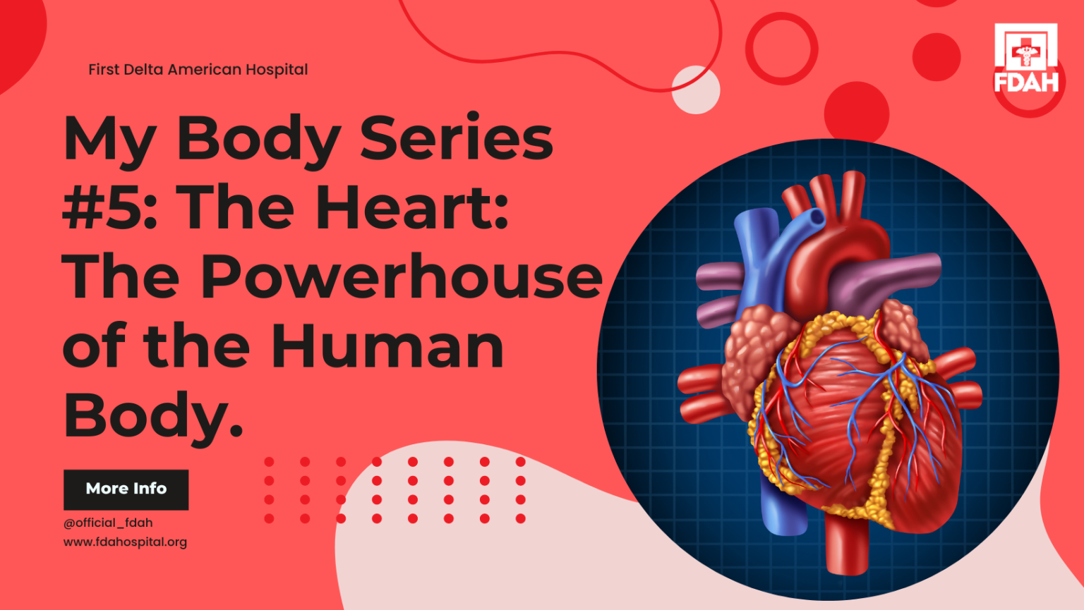 My Body Series #5: The Heart: The Powerhouse of the Human Body - First ...